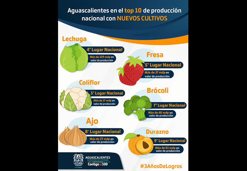 Aguascalientes En El Top 10 De Producción Agrícola Palestra